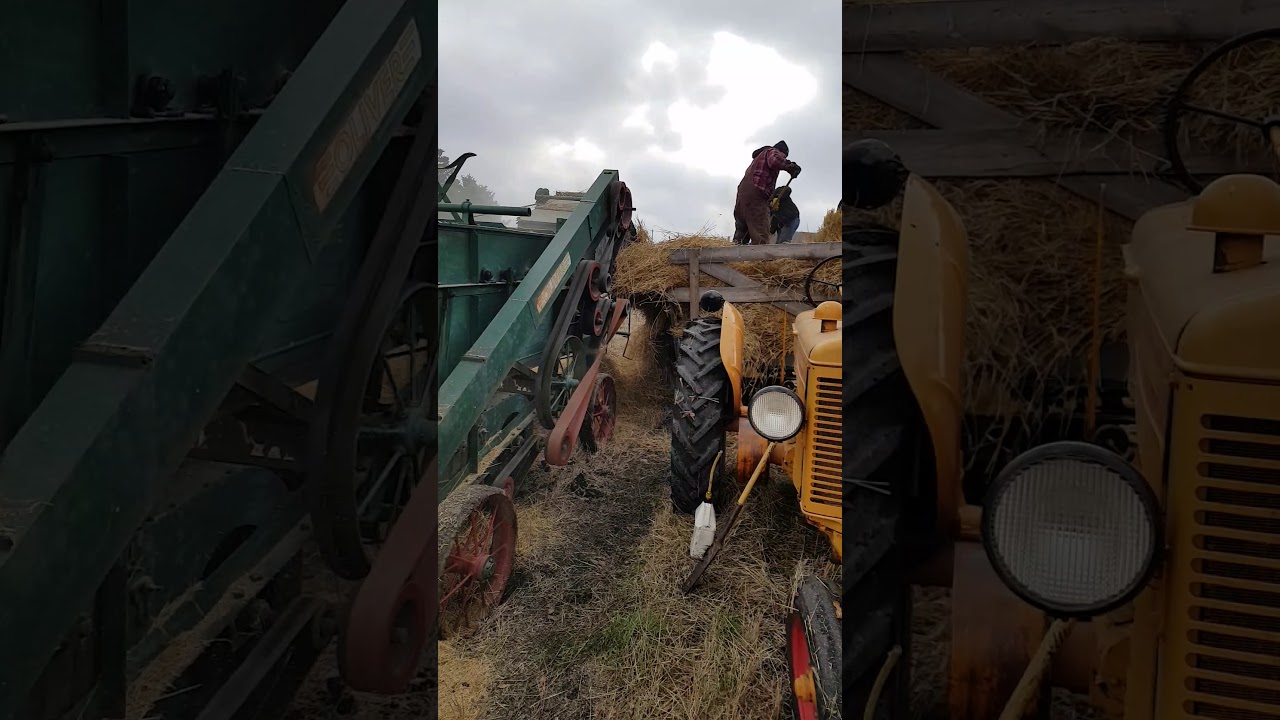 OLIVER RED RIVER SPECIAL THRESHING MACHINE - YouTube