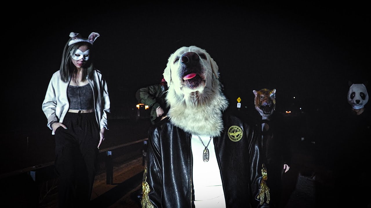 Run Doggie Run - K9ght - Dog Rapper raps about dog life (Prod ...