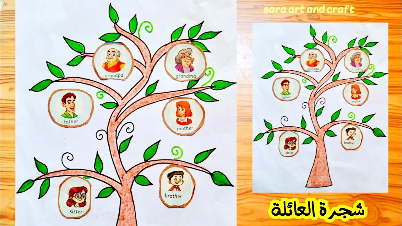 شجرة العائلةشجرة العائلة للاطفالرسم شجرة العائلةشجرة العائلة المستوى الثانى Youtube
