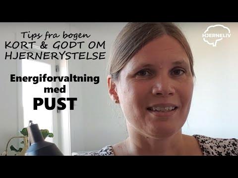 Energiforvaltning med PUST. En model fra bogen Kort & godt om HJERNERYSTELSE - YouTube