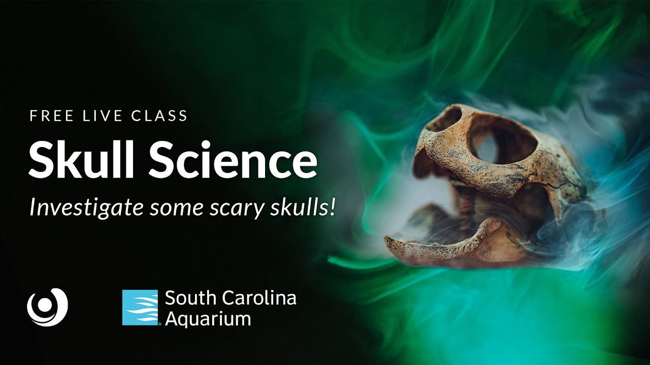 Varsity Tutors' StarCourse - Skull Science presented by the South ...