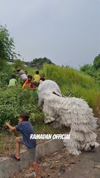 Puluhan bocil di kejar Can macanan - YouTube