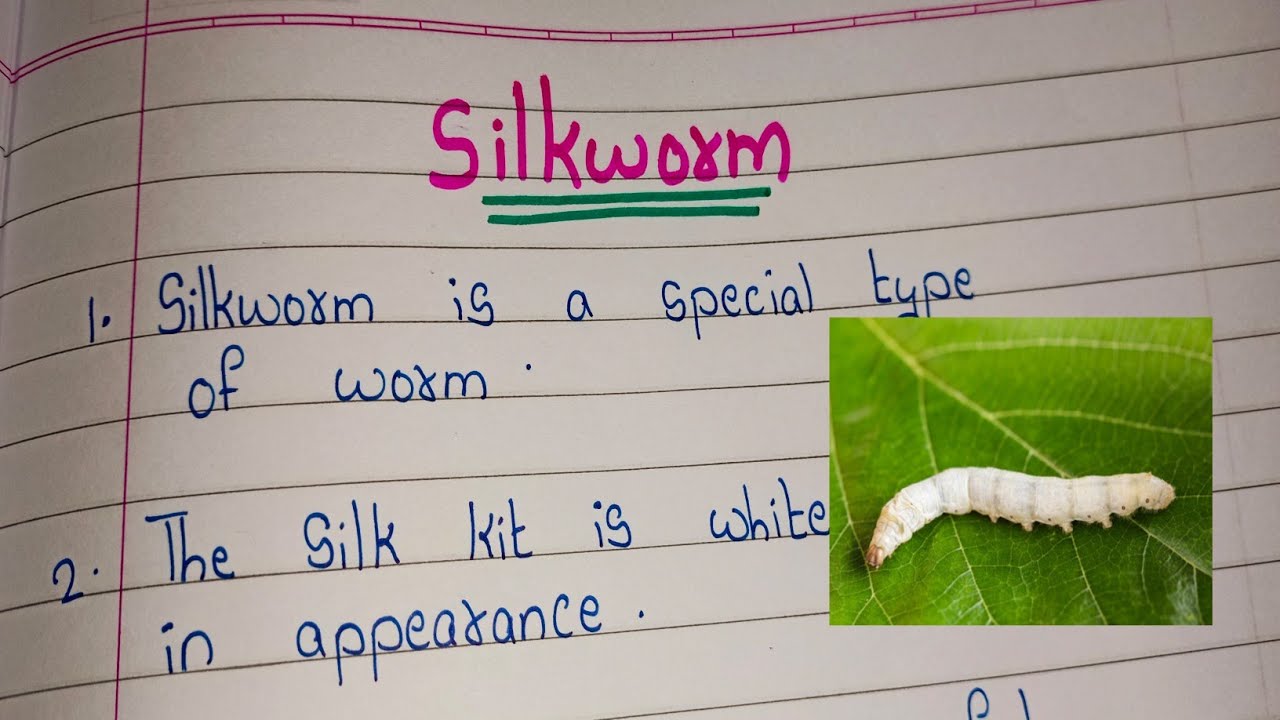 10 lines on Silkworm// Essay on Silkworm// Few Sentences about Silkworm - YouTube