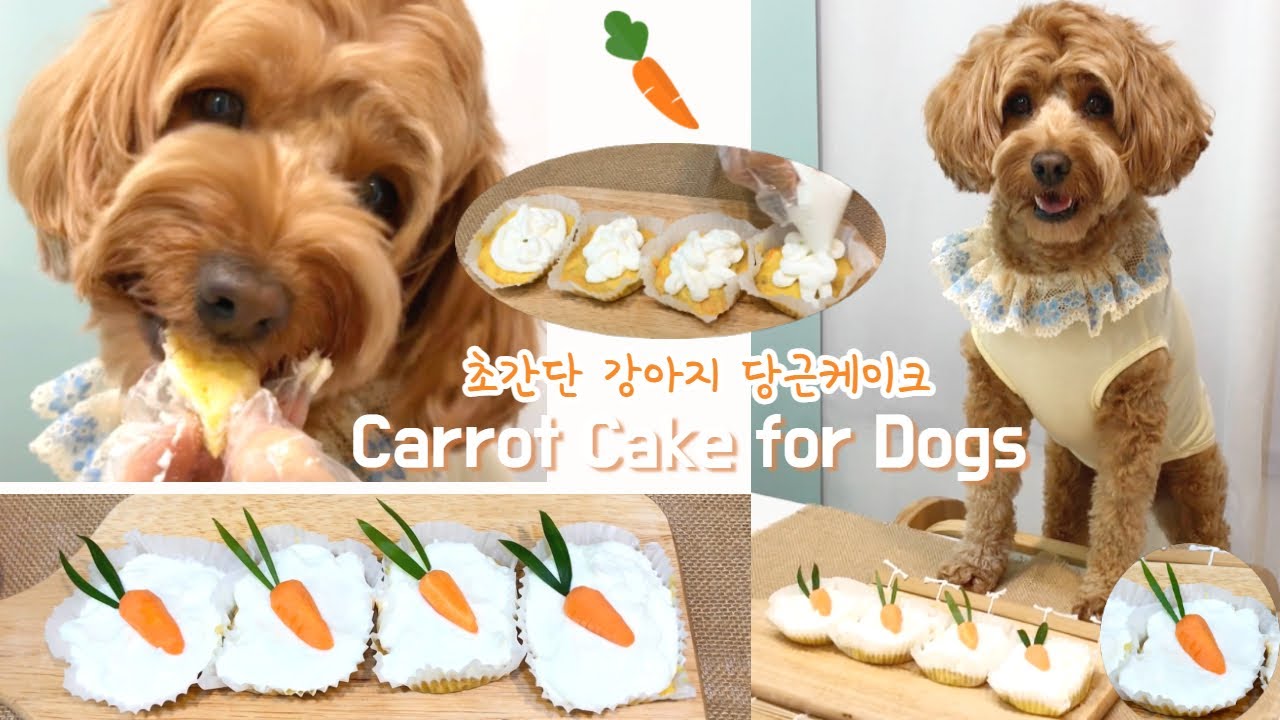 How To Make Carrot Cake For Dogs how-to-make-carrot-cake-for-dogs