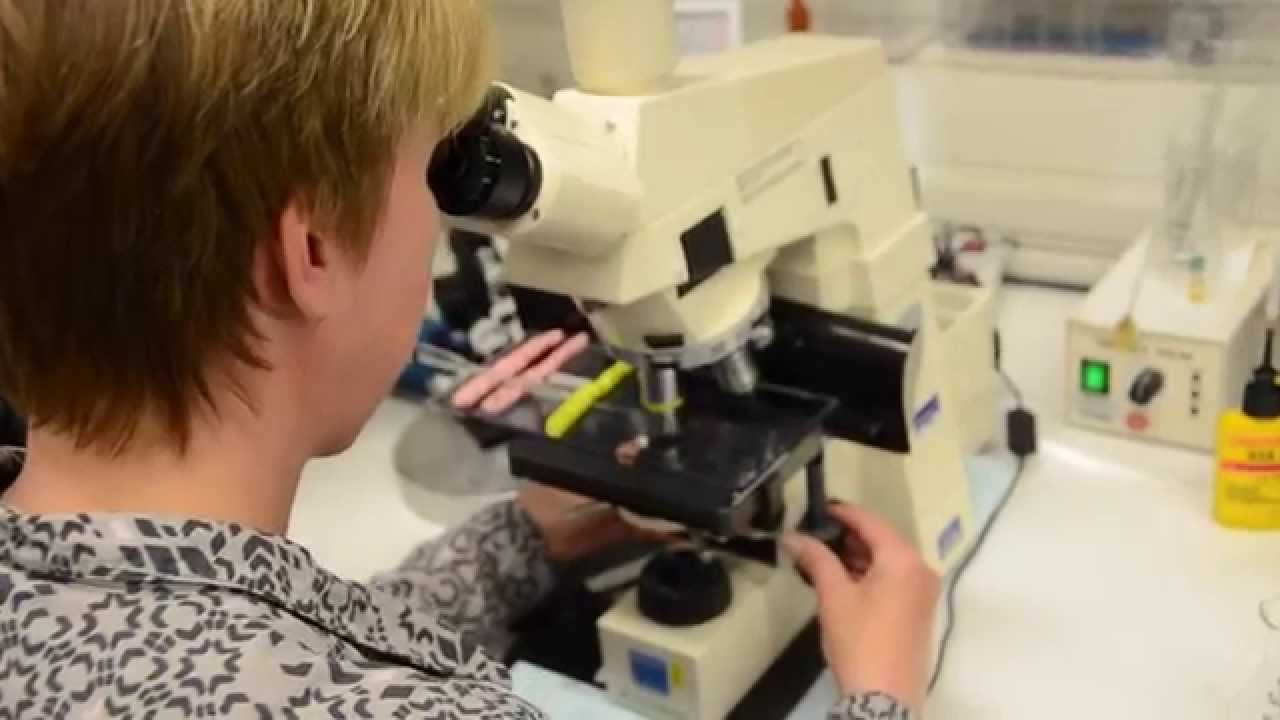 Microsensors: How They Are Made - YouTube