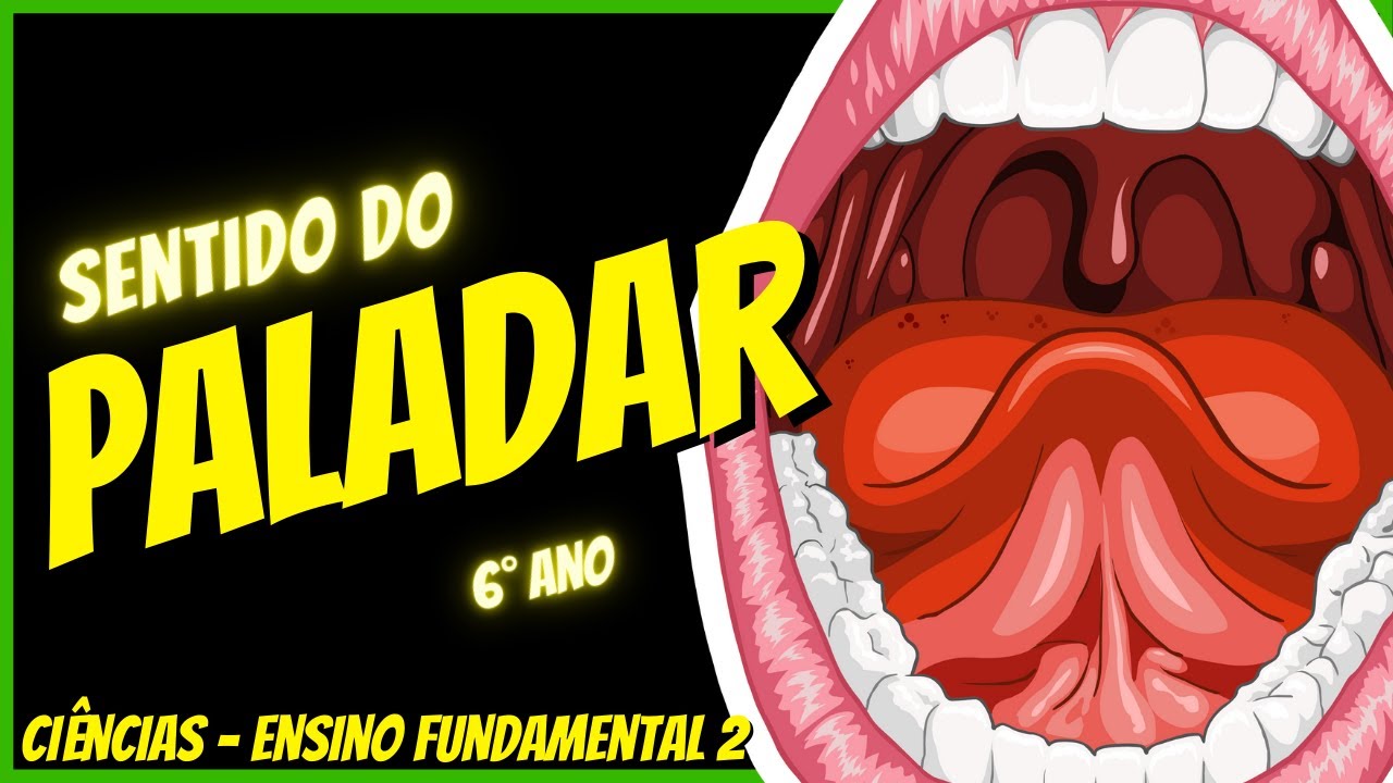 Sentido Do Paladar Exercitando O Paladar Ativar Sentidos