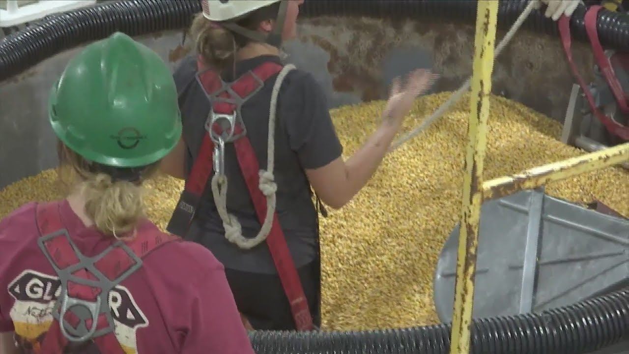 Farm Safety Week: Grain bin dangers - YouTube