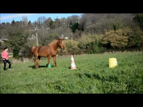 Doudou nouveautés saloms 17022017