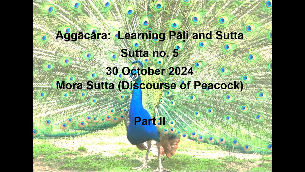 Pali Sutta no. 5: Mora Sutta - Part II - YouTube