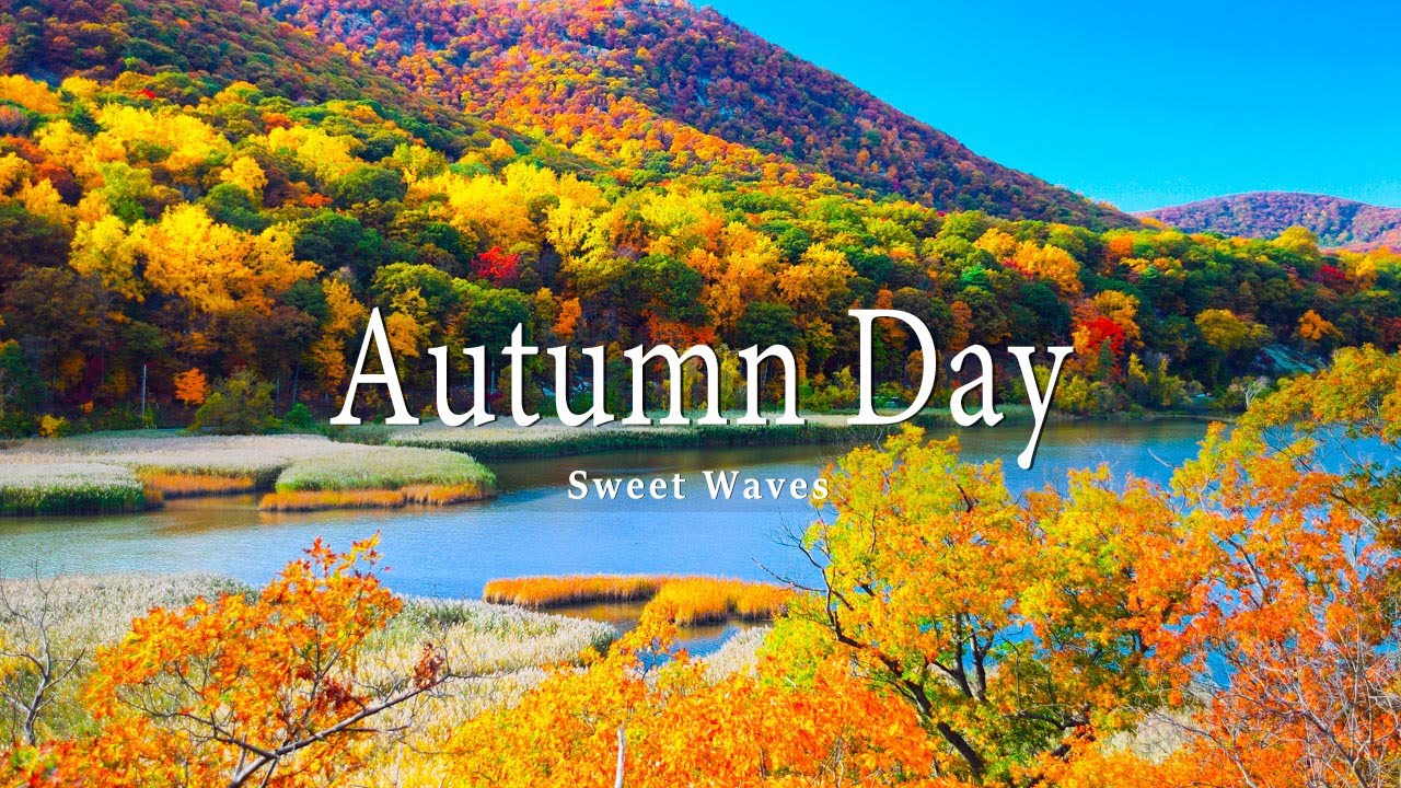 11 HRS Incredible Fall Foliage - Best 4K Autumn Nature Scenes from ...