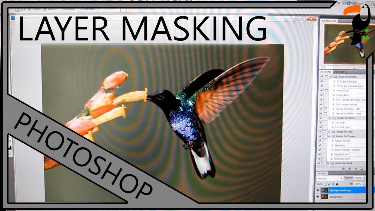 Nature Photography Workshop - Layer Masking.wmv - YouTube
