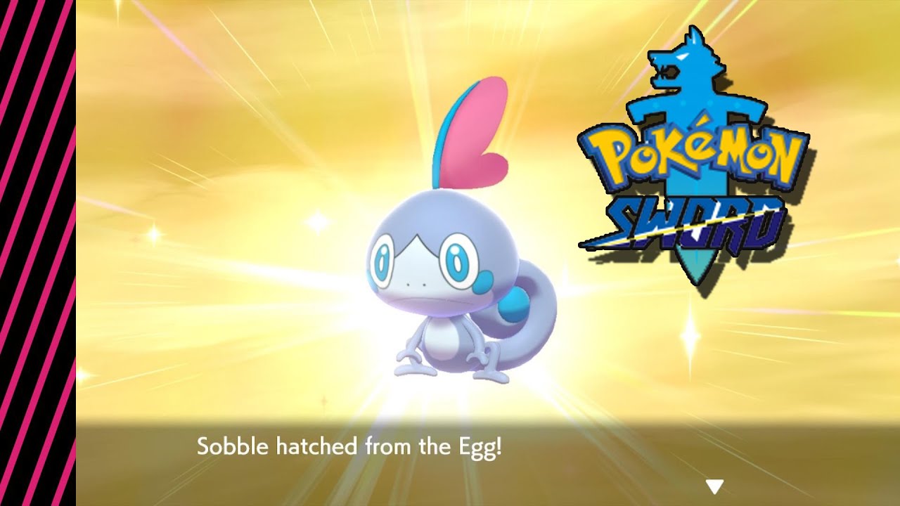 Pokemon sword: Shiny sobble hunting|Special day before bday stream ...