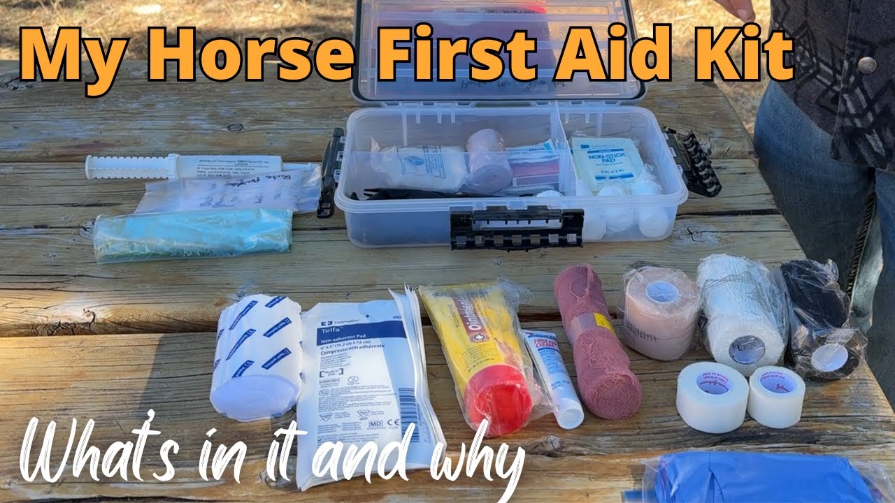 My Horse First Aid Kit - What's in it and Why - YouTube