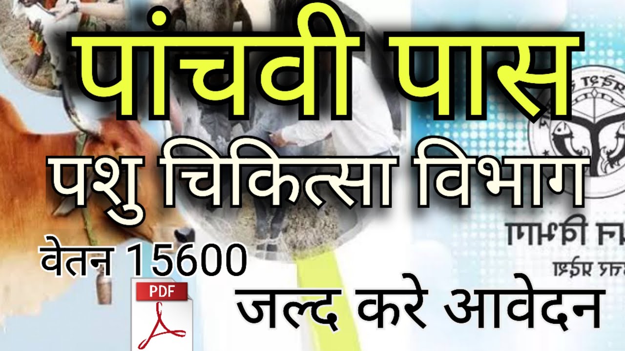 Mahasamund pashu chikitsa vibhag bharti | पशु चिकित्सा विभाग भरती - YouTube