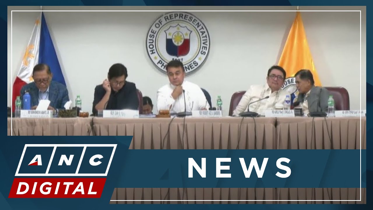 WATCH: Rep. Robert 'Ace' Barbers on House findings on POGOs from ...