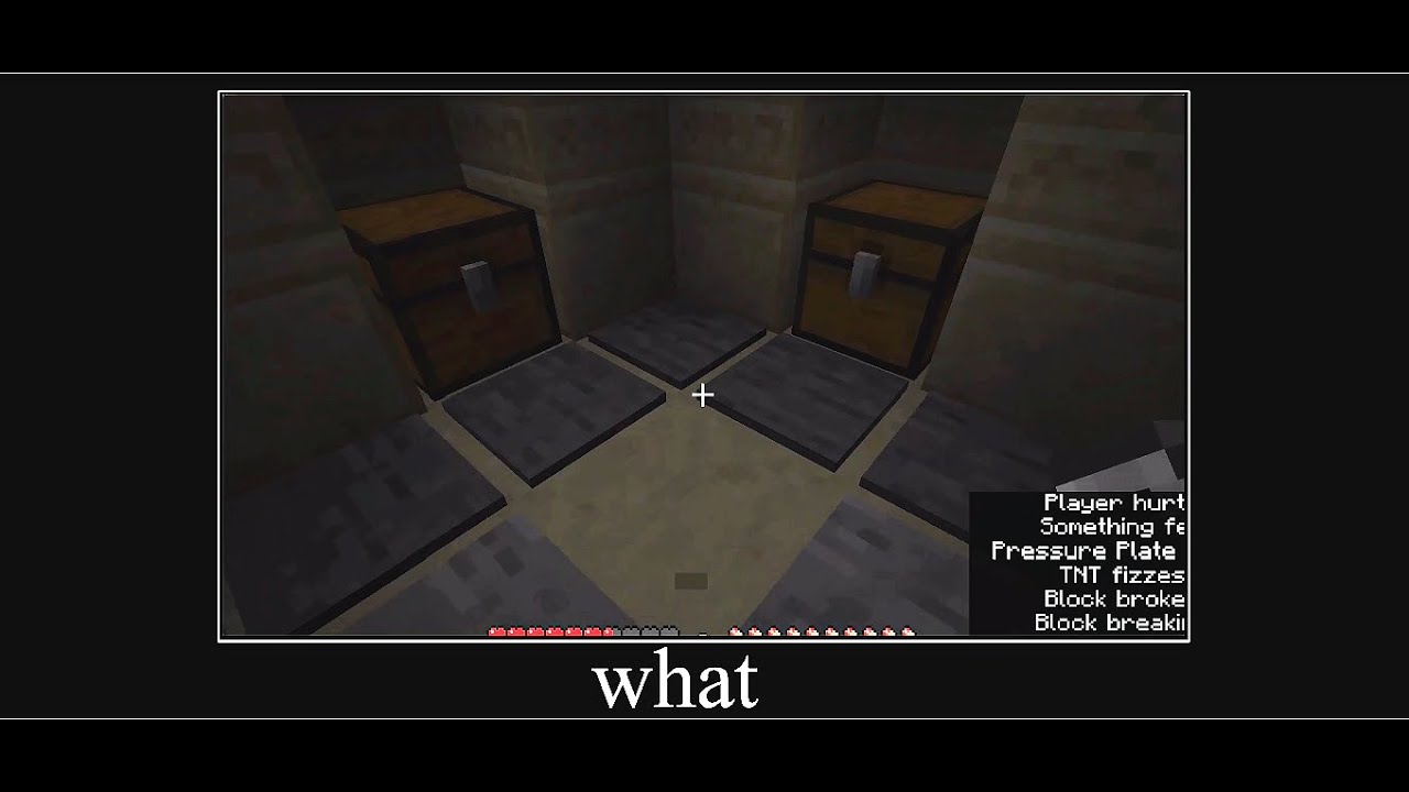 Wait What? | Minecraft Meme - YouTube