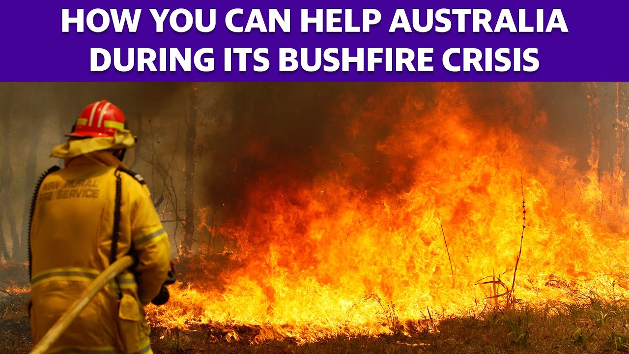 Australian wildfires: Here's how you can help Australia during its bush ...