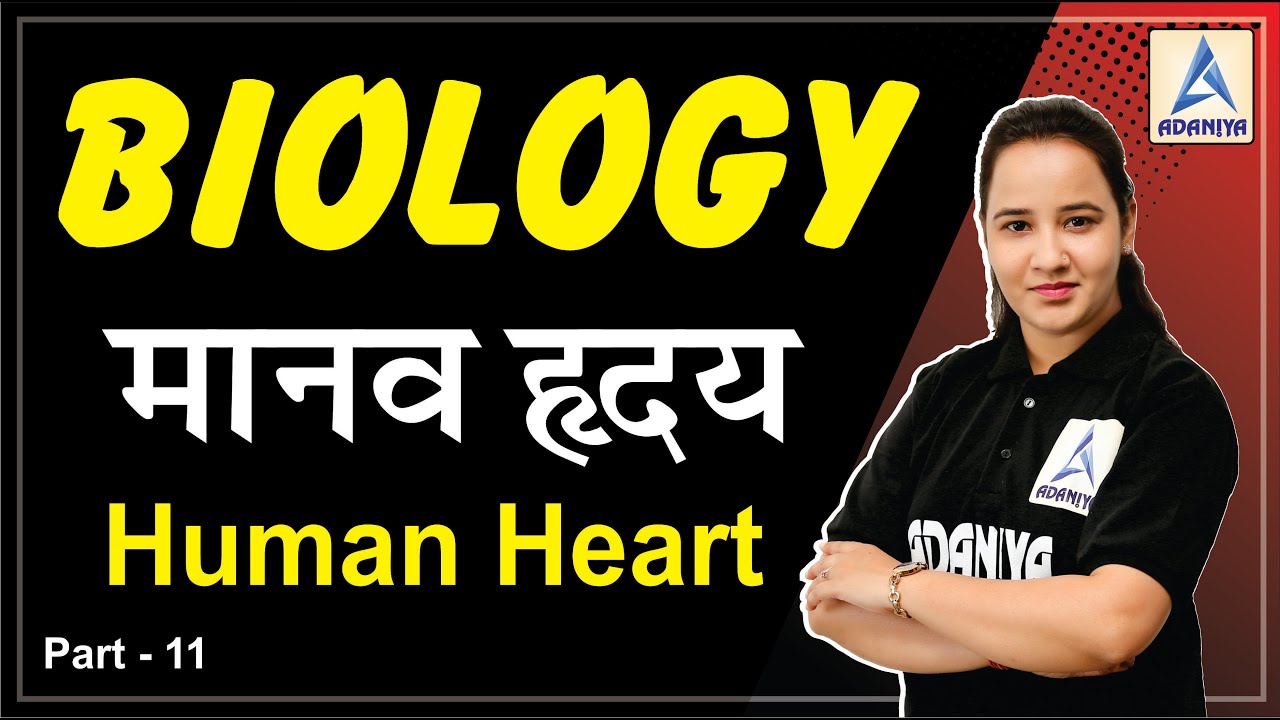 structure of human heart class 11 | Body Fluids and Circulation Part ...