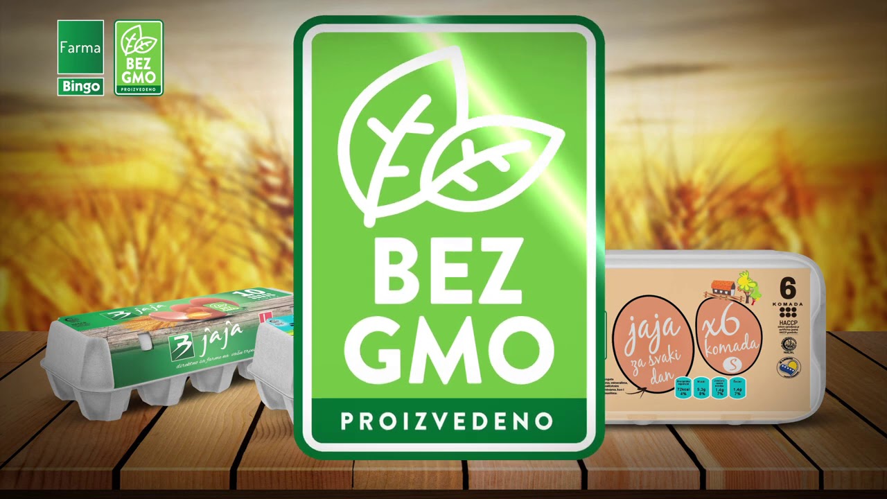 BINGO - BEZ GMO jaja (promo) - YouTube
