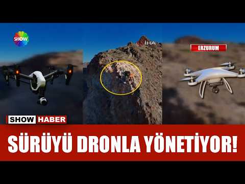 Keçileri kaçırdı, dronla topladı!