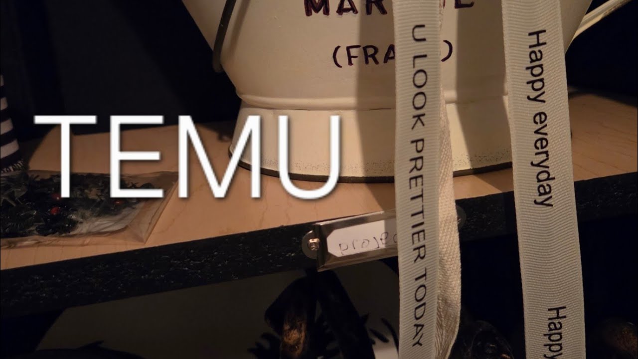 TEMU JUNK JOURNALING HAUL...PLUS OTHER GOODIES! - YouTube