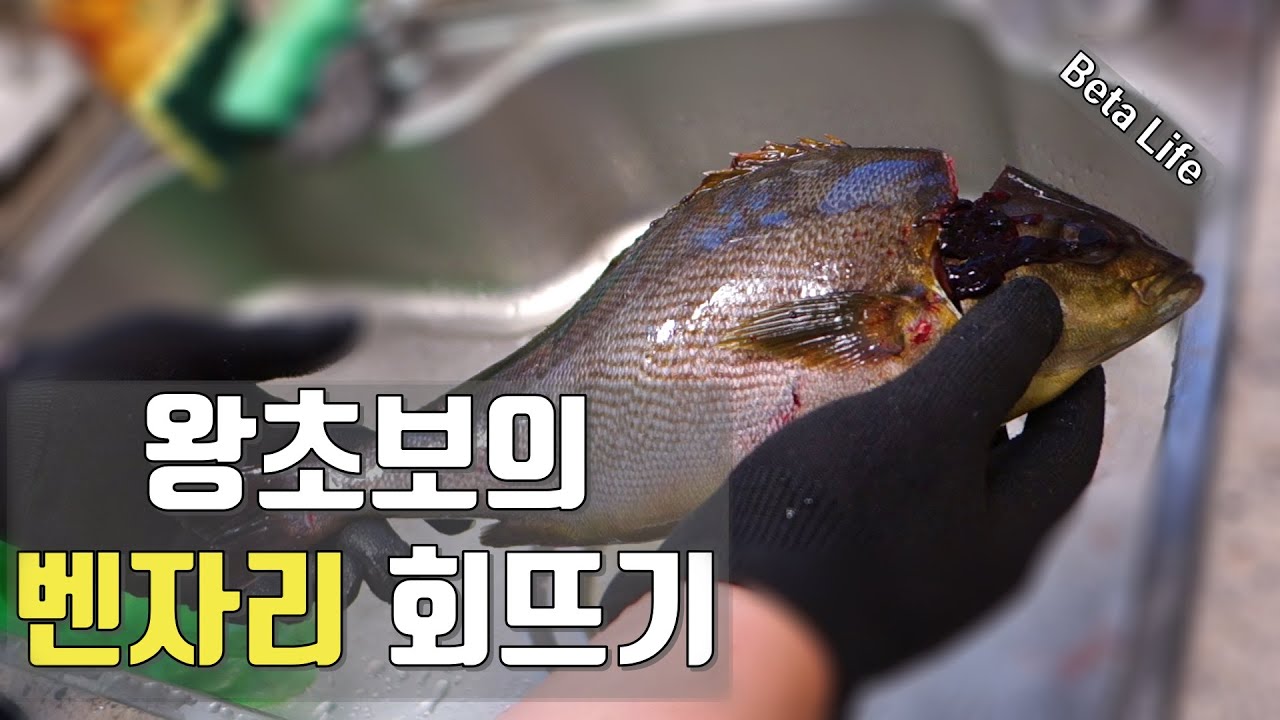 Filleting Threeline Grunt 벤자리 왕초보 회뜨기 - YouTube