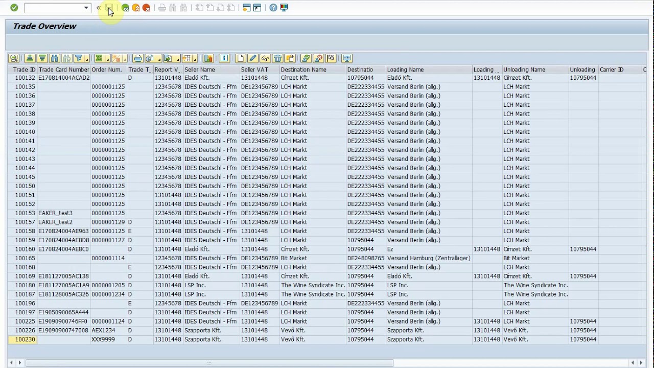 SAP EKAER Addon - Manual EKAER - YouTube