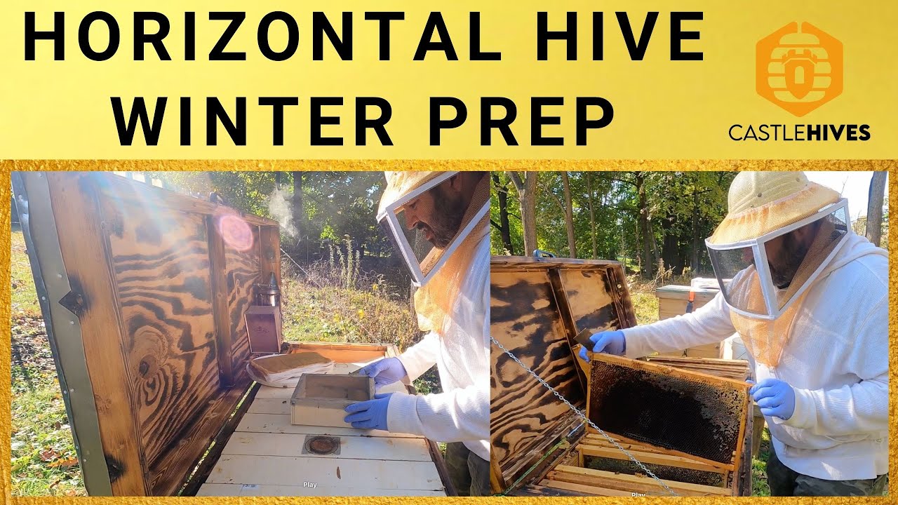 #beekeeping Setting up the Horizontal Hives for Winter & Apiary Loss ...
