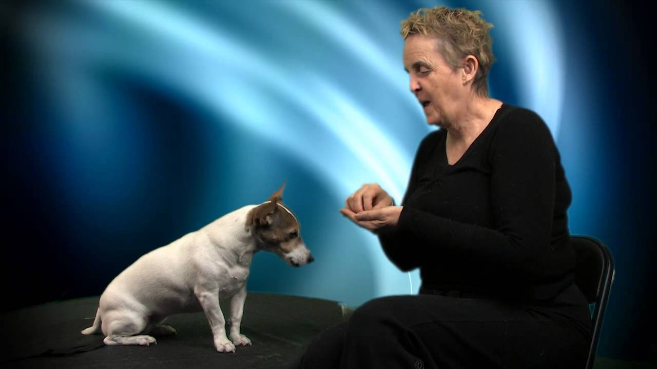 Annie Banoonoo Has a Message - YouTube