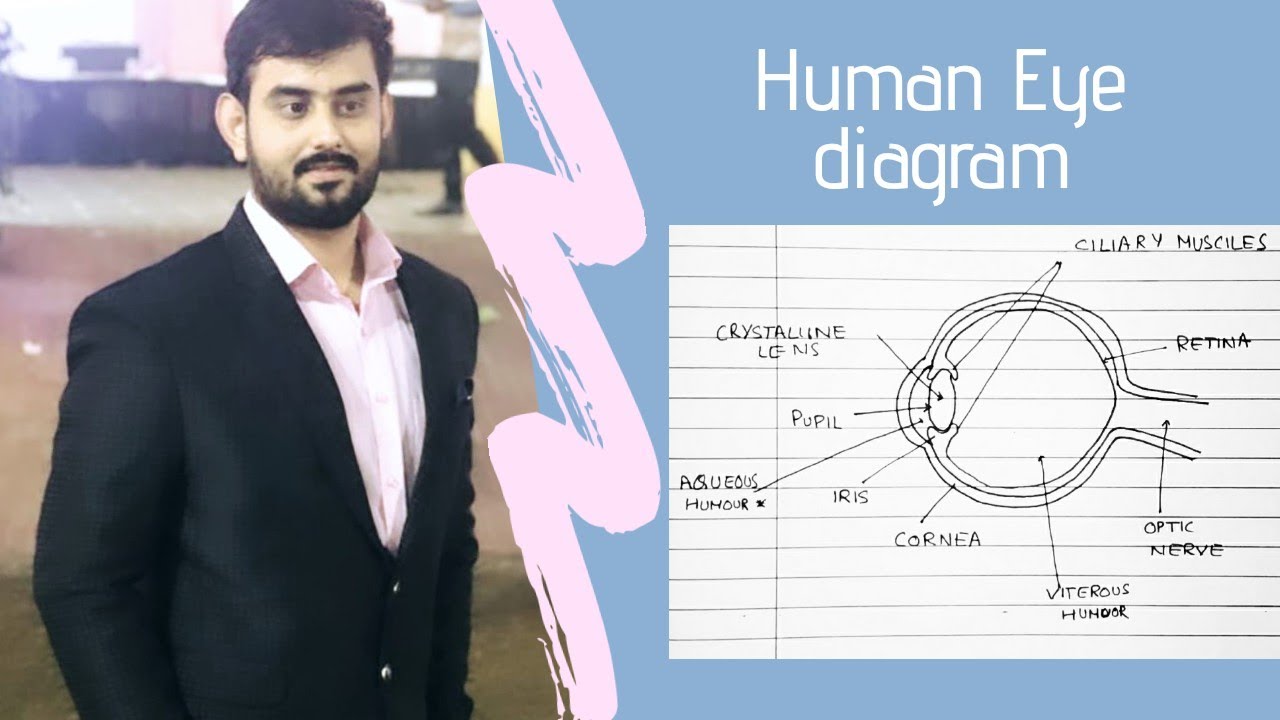 Human Eye Diagram | Class 8th | Class 10th. - YouTube