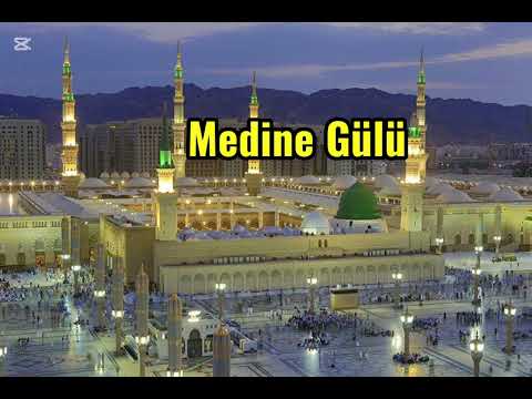 MEDİNE GÜLÜ#ilahi 