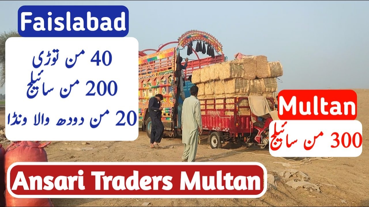 Silage, Turri and Wanda Loadings for Faislabad and Multan | Ansari Traders Multan - YouTube