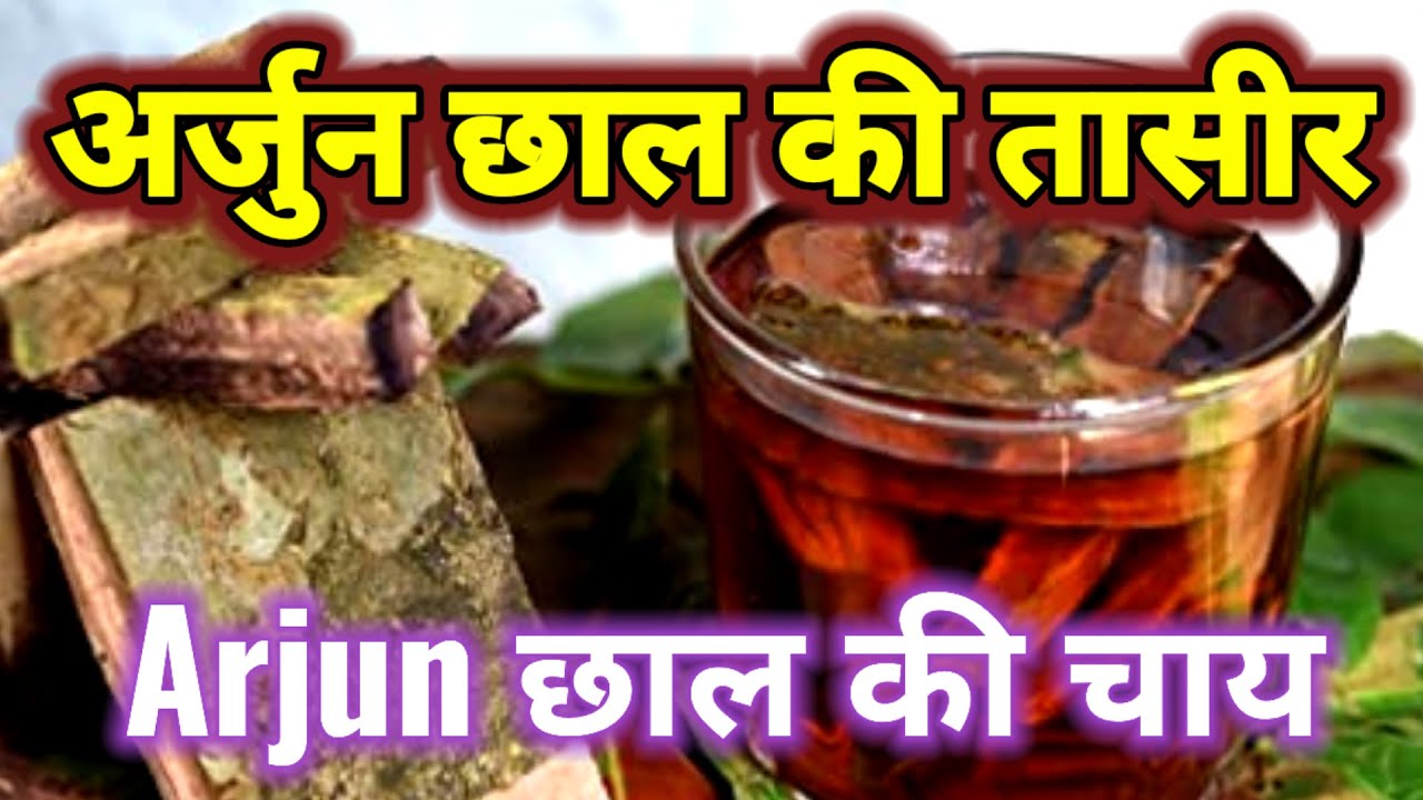 अर्जुन छाल की चाय | Arjun chaal ka kadha recipe | Arjun Chaal Ka Kadha ...