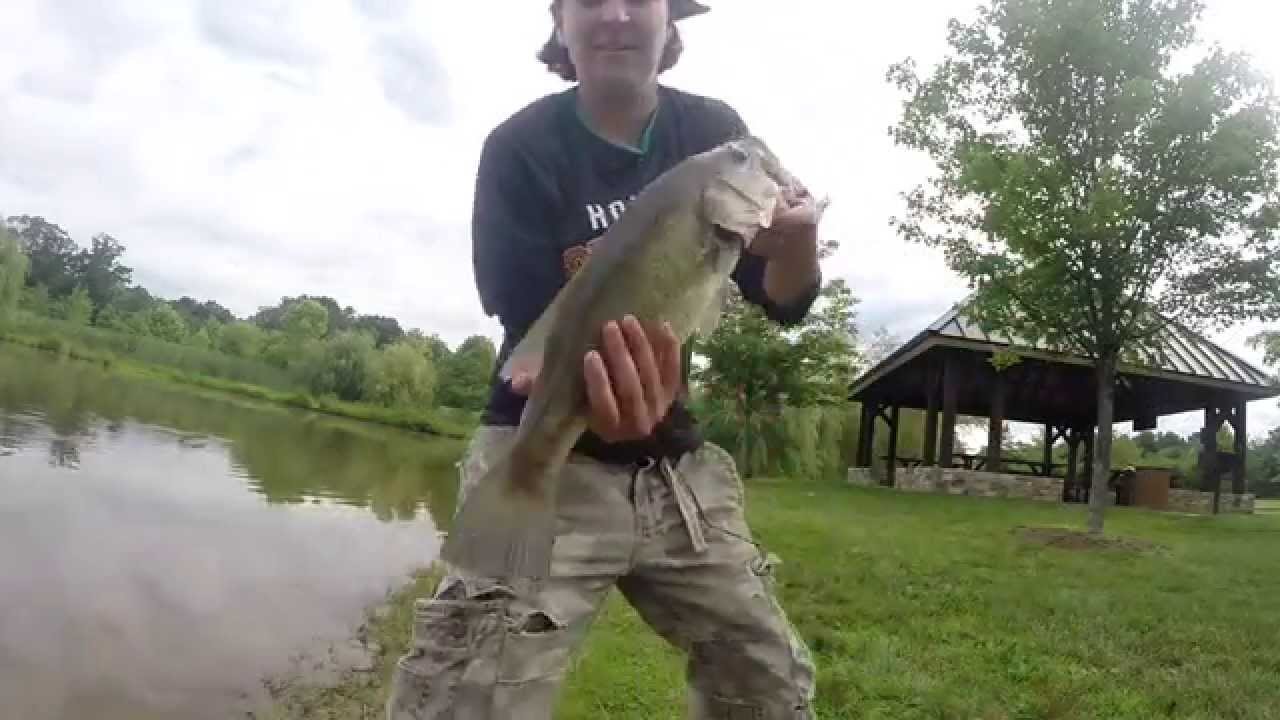 Pond Bass Fishing - Two Largemouth Bass - 2lb and 4lb - YouTube