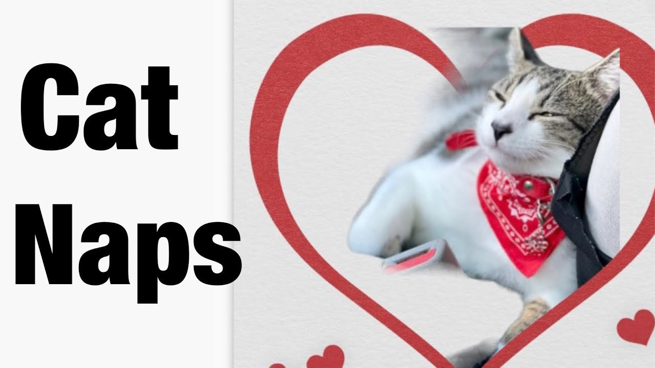 Romeo's Precious Sleep Compilation Part 1 - YouTube