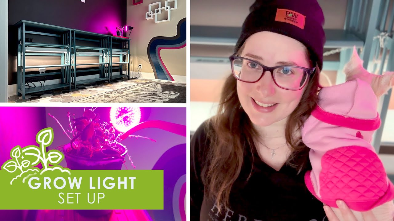 Resetting My Grow Lights - YouTube