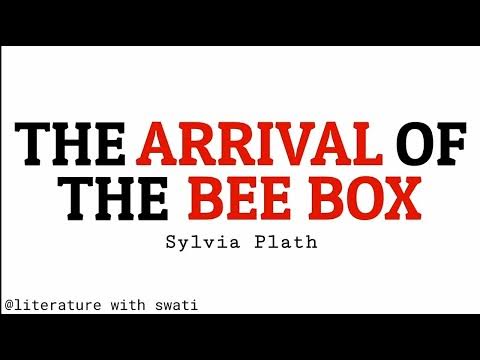 the arrival of the bee box summary in hindi by sylvia plath || # ...