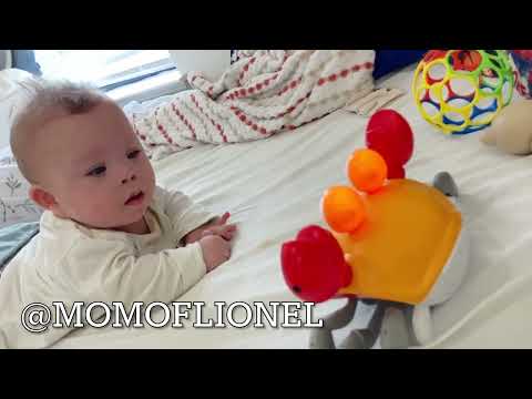 Cute baby and the dancing crab Em bé dễ thương và chú cua biết nhảy