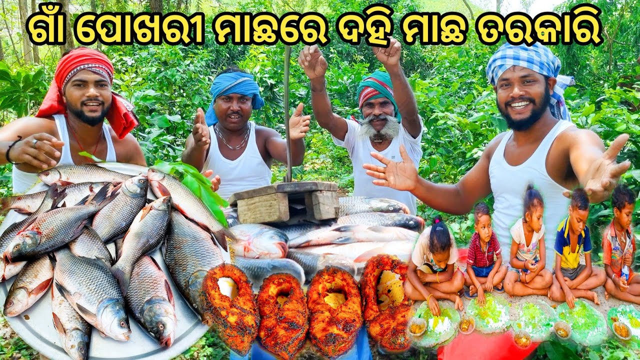 ଗାଁ ପୋଖରୀ ମାଛରେ ଦହି ମାଛ ତରକାରି || Curd Fish Recipe || Doi Fish || Dahi ...