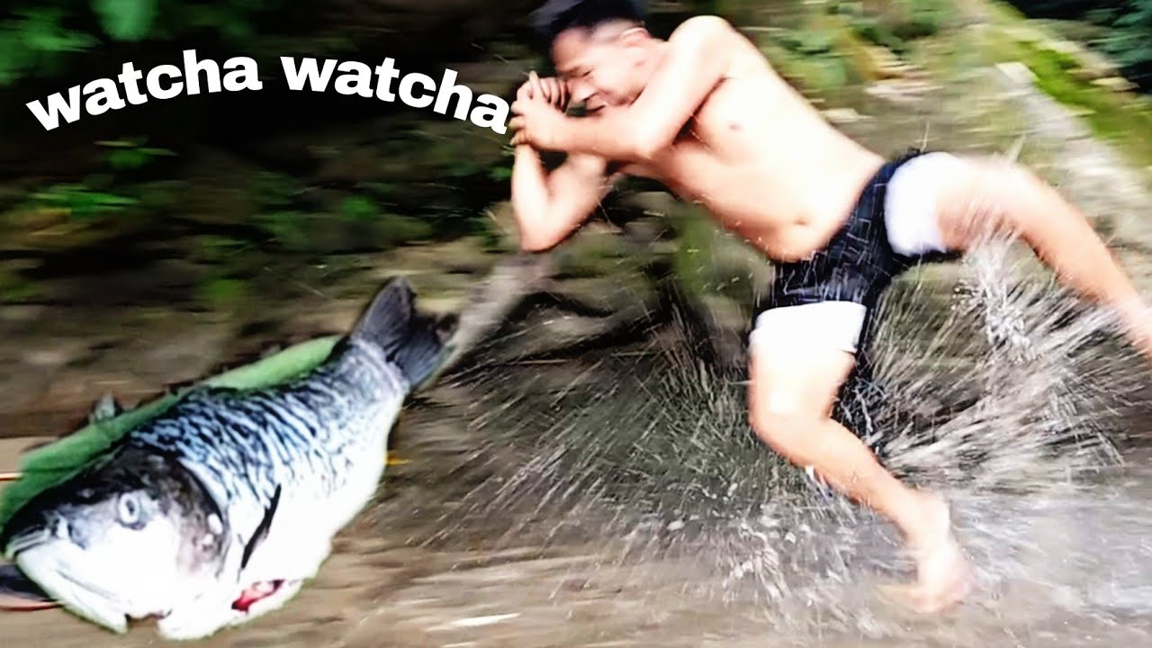 catch and cook underground 🐟 | delicious recipes #mustwatch - YouTube