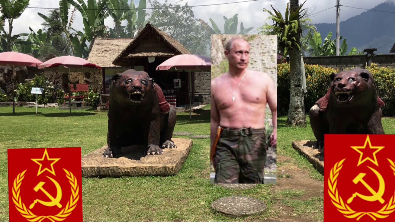 Bali memes - YouTube