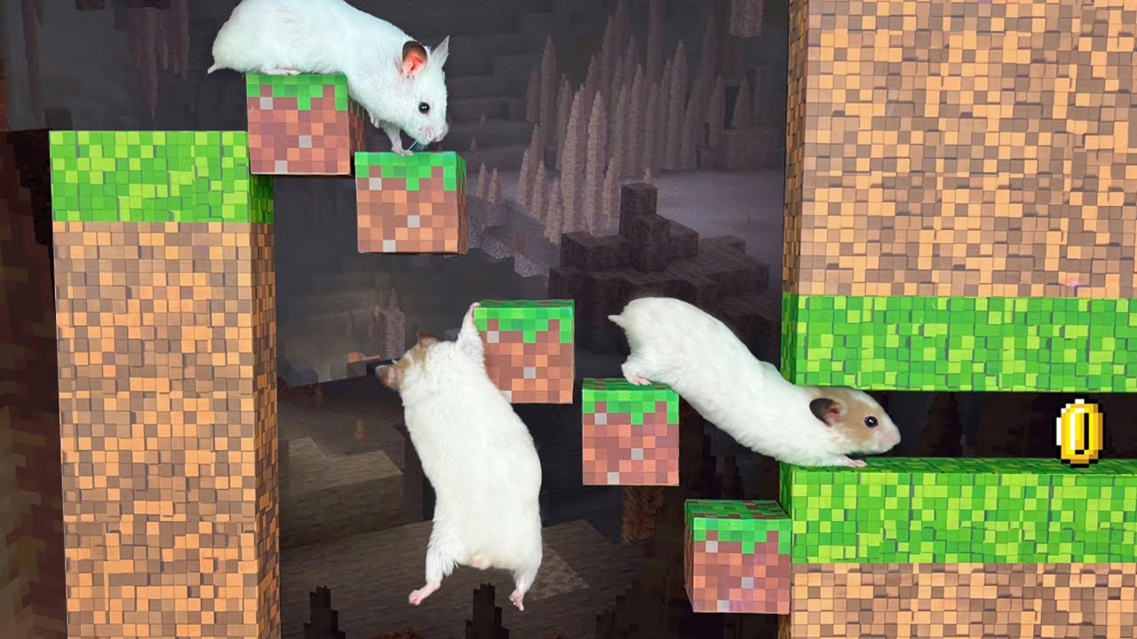 🐹Minecraft Crazy Hamster ! - Hamster Escape 🐹 - YouTube