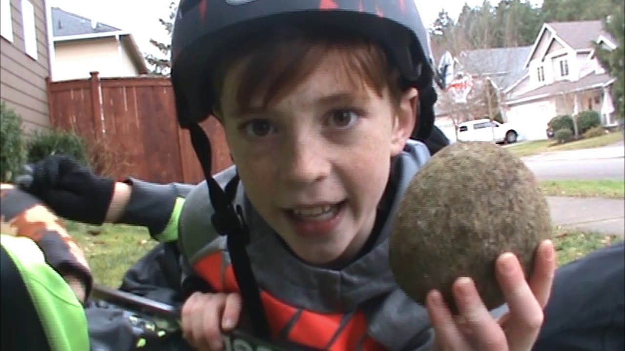 life cycle of a moose - YouTube