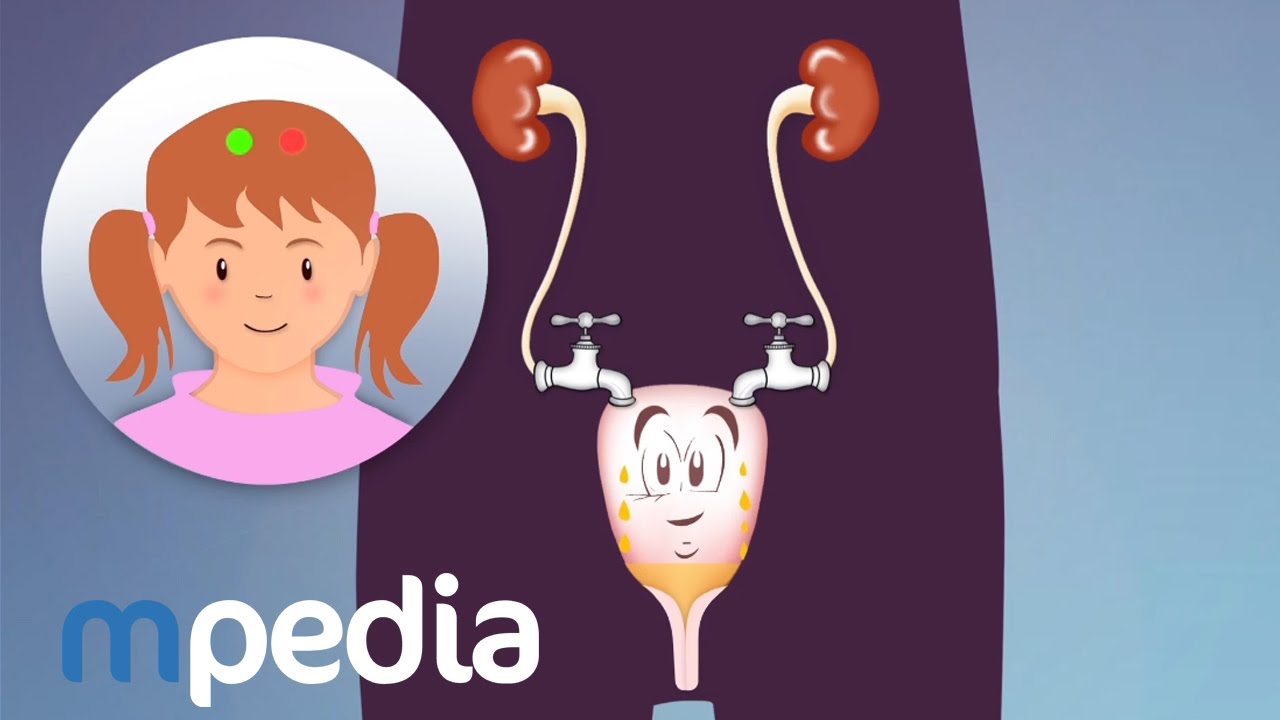 La vessie hyperactive ou vessie instable - YouTube