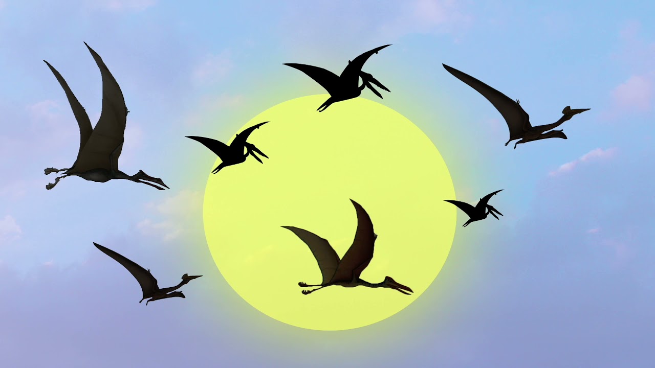 Jurassic Park Highlights by John Williams arr. C. Custer - YouTube