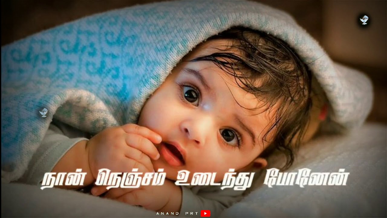 Alagu kutti chellam song // WhatsApp Status// Kutty love status ...