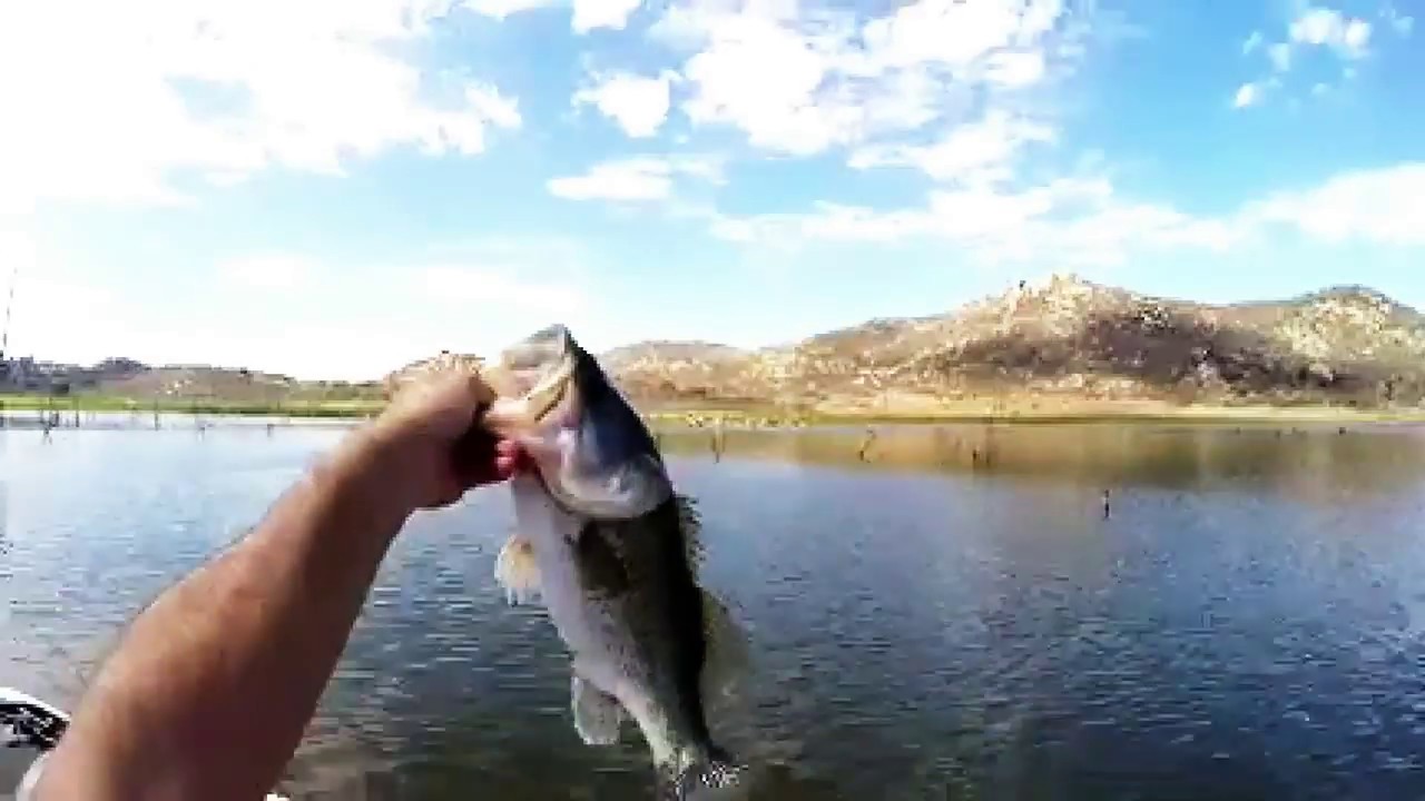 LAKE HODGES RAT FISHING - YouTube