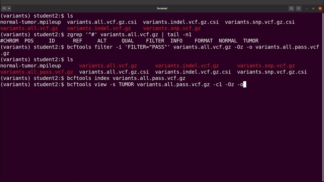 Subset Vcf By Sample Names Bcftools View Tutorial Youtube
