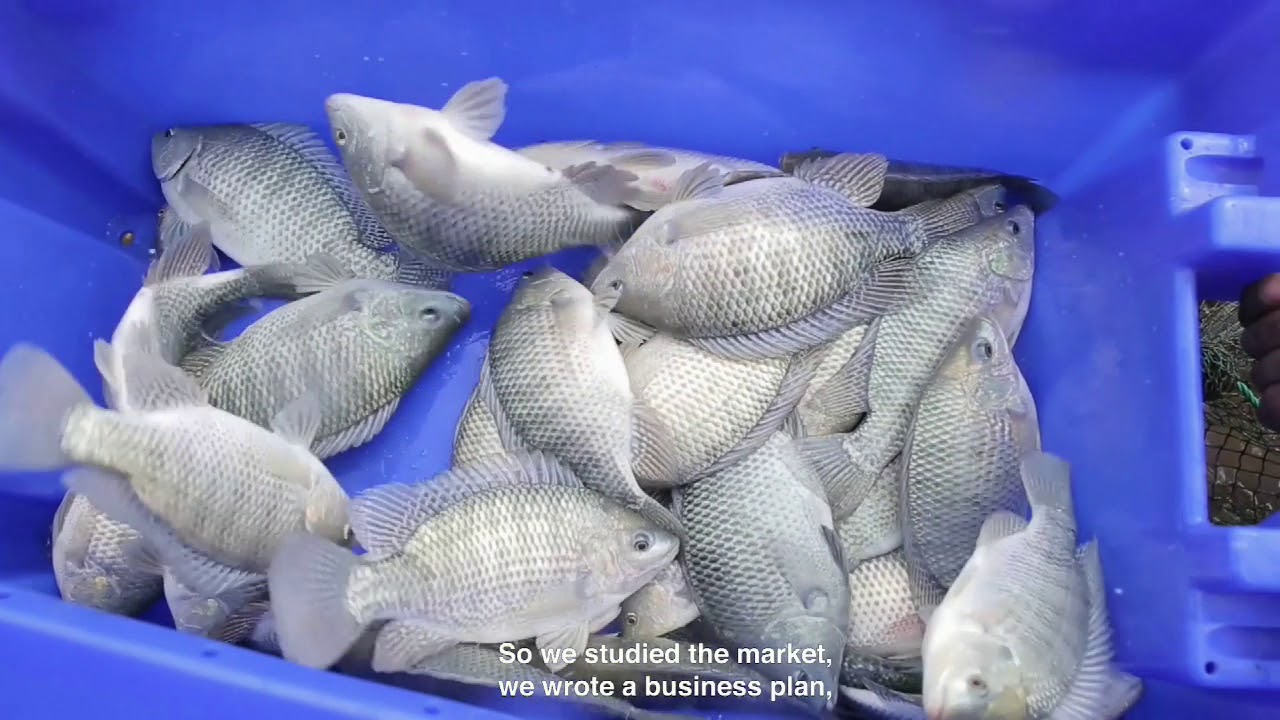 ASA Ethiopia - the first commercial and sustainable fish farm in ...
