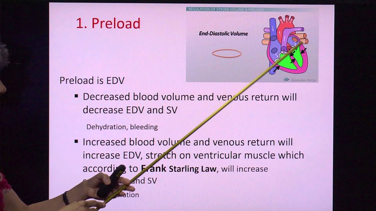 Cardiac Output - YouTube
